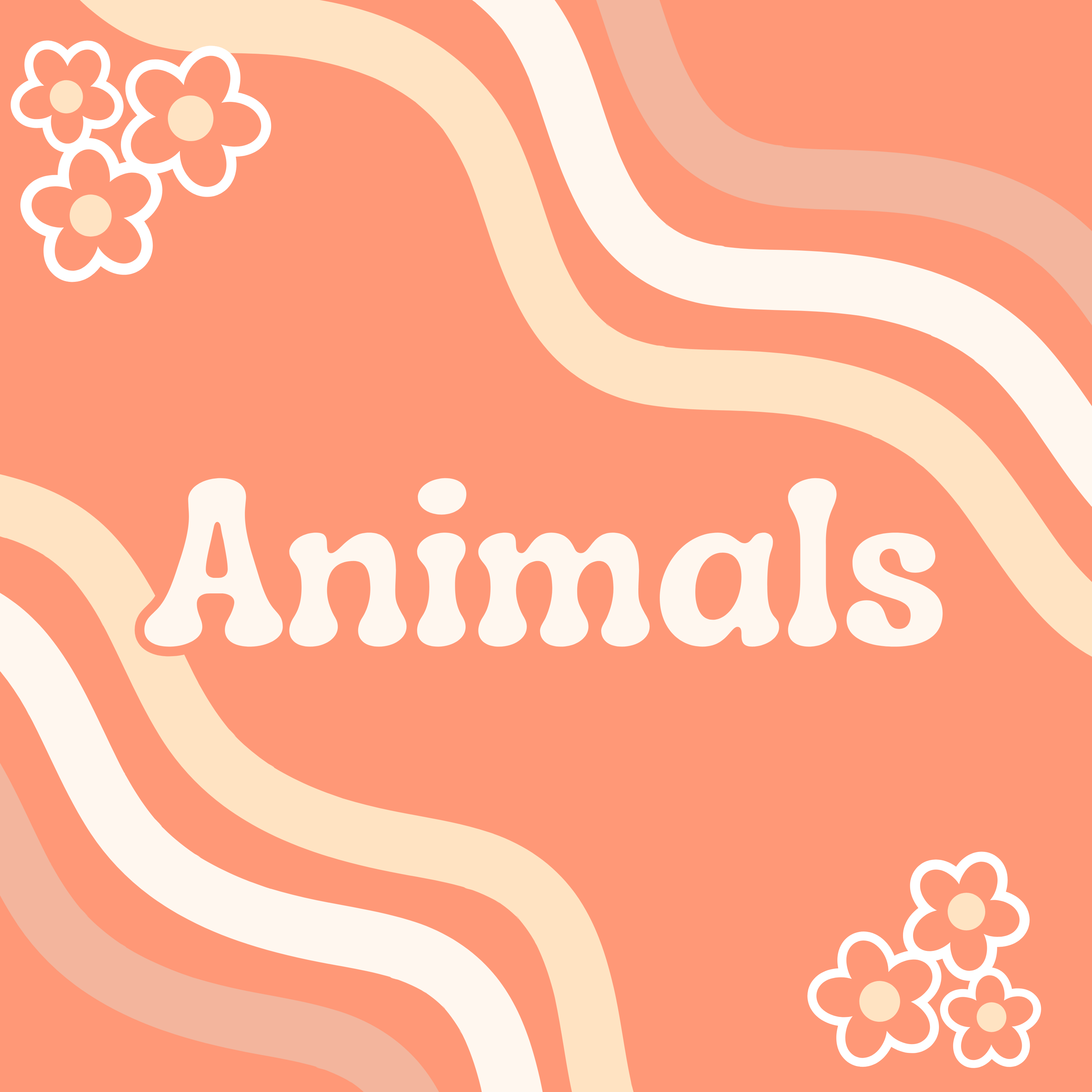 ANIMALS – Twinkle Twinkle Tees